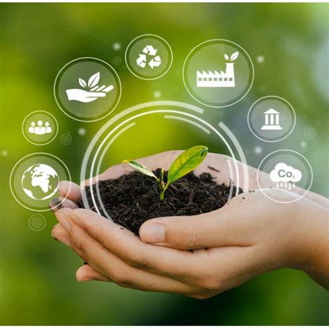 Conservação Ambiental Conceito Ameaças E Estratégias