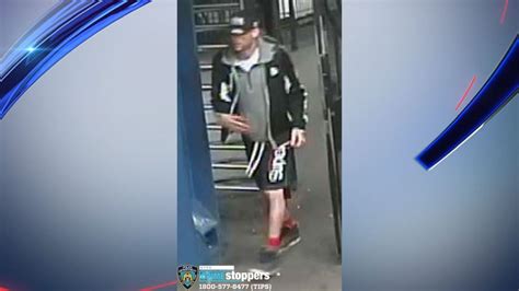 Bronx Subway Station Mugging Robber Repeatedly Punches Woman