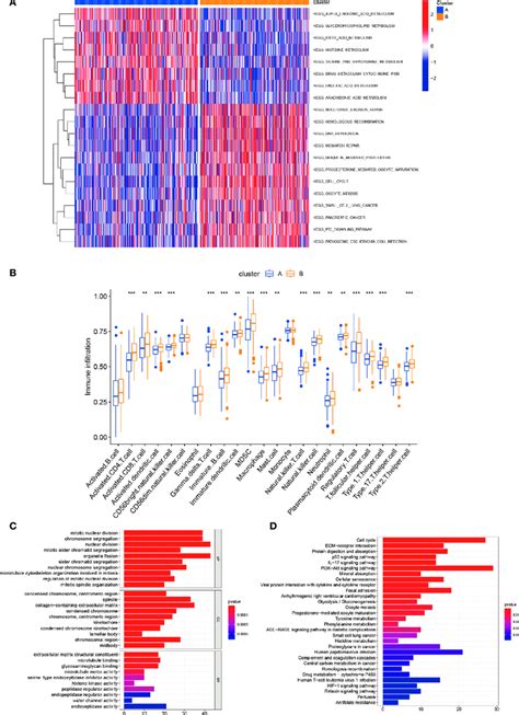 Correlations Of Tumor Immune Cell Microenvironments And Two Luad Download Scientific Diagram