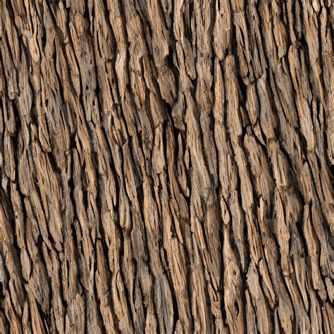 Tree Bark Pattern Graphic · Creative Fabrica