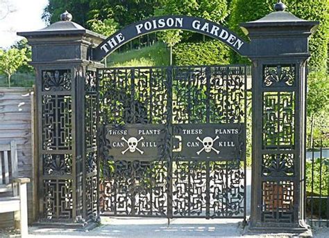 10 საინტერესო და საშიში