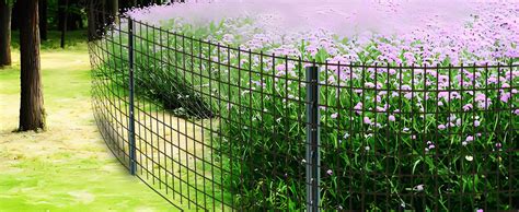 Black Coated Welded Wire Fencing 2x3 48inch X50ft 16ga