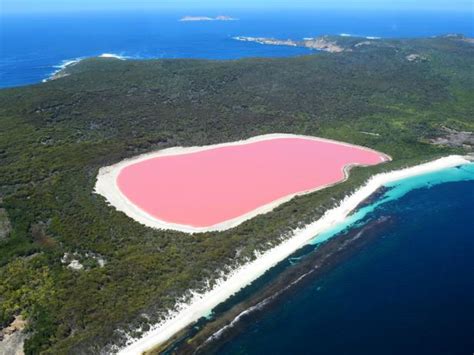 Discovery Why Australia Has Bubblegum Pink Lakes Discovery