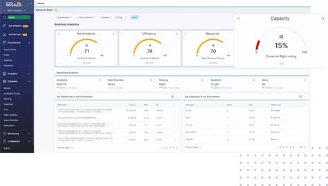 Fortified WISdom A Database Monitoring Optimization Tool