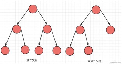 树和二叉树的基本概念和性质
