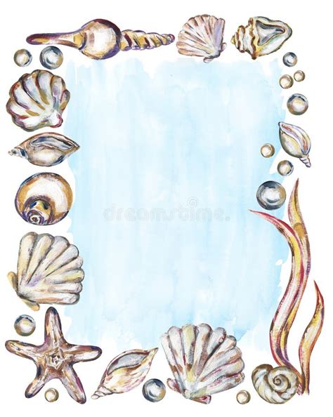 Shells Border Frame
