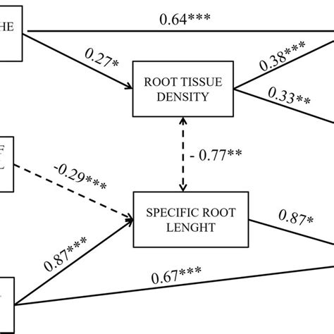 Path Diagrams For Year 1 Showing The Direct And Indirect Effects Of