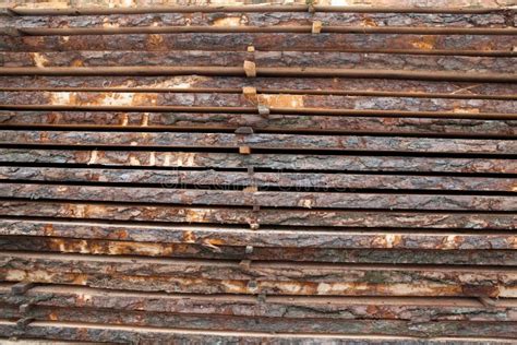 Wooden Planks Air Drying Timber Stack Stock Image Image Of Pile