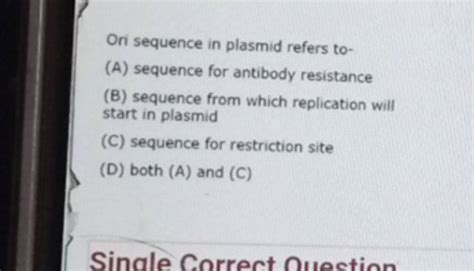 Ori Sequence In Plasmid Refers To Filo