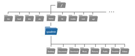 Printing Working Directory PWD In Linux Cyber Security Networking Technology Courses And Blog