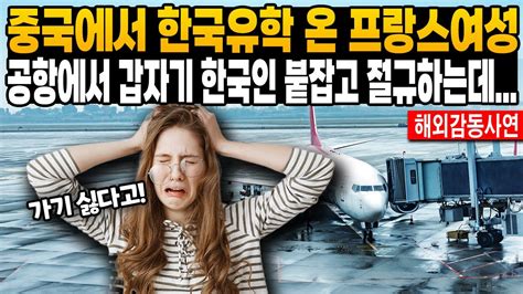 《해외감동사연》 한국유학 보내려는 교수님을 원망했던 프랑스 여대생이 억지로 한국으로 왔는데 Youtube