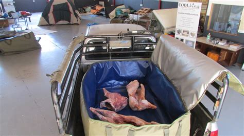 The Big Cat Popper Added A New Photo The Big Cat Popper