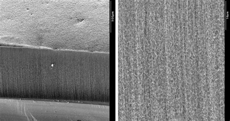 Sem Images Showing The Morphologies Of The Vertically Aligned Carbon