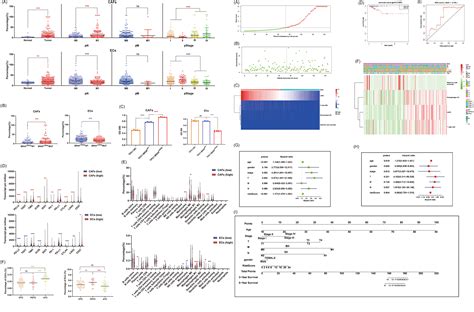 肿瘤类生信分析 企业官网