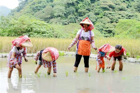 特搜全台8處農場親子共遊 Hot童趣玩法 欣傳媒xinmedia 最懂生活的咖