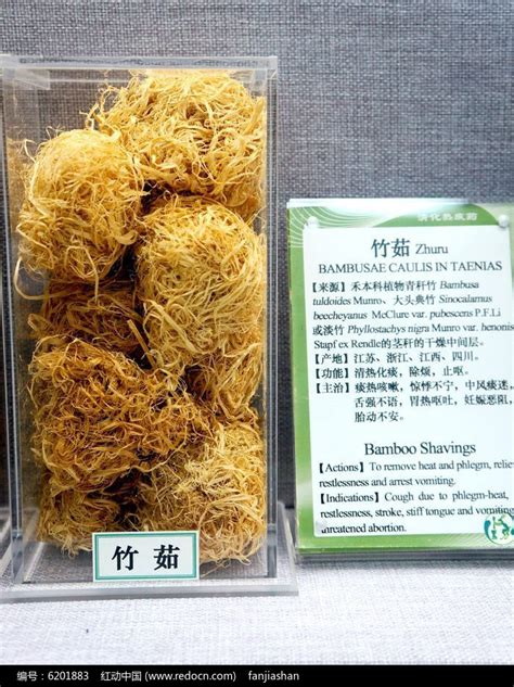 竹茹和药性说明高清图片下载 红动中国