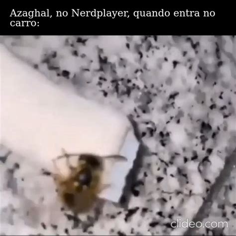 O Especialista R Jovemnerd