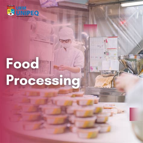 Is Food Processing A Course At Lisa Teixeira Blog