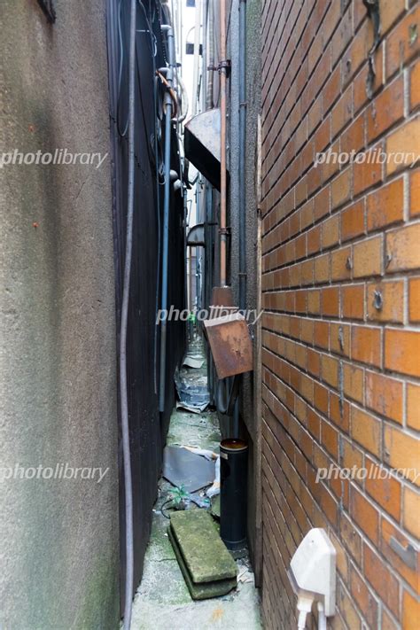 Photolibrary