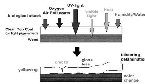 Factors Influencing Wood And Coating Hayoz Et Al 2003 Download