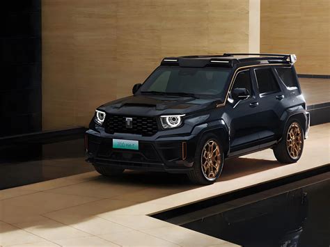 Gwm Tank Export From China Guangcaiauto