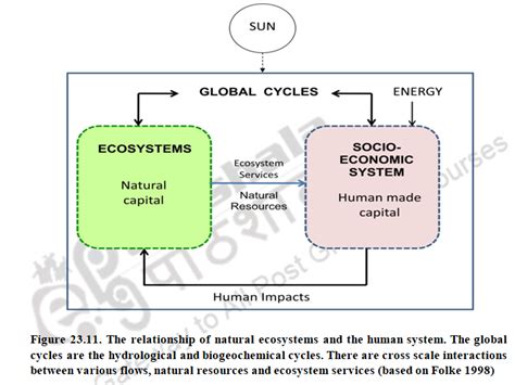 Ecosystem Structure And Functions Ecosystem Structures And Functions