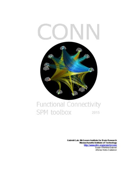 Conn Fmri Functional Connectivity Toolbox Manual V15 Pdf Matlab