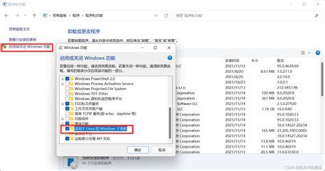 [windows] wsl2 安装及相关环境调试 win10 wsl2 验证安装wsl2正常 csdn博客