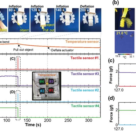 Soft Robotic Hand Demonstration A Real‐time Demonstration Of Download Scientific Diagram