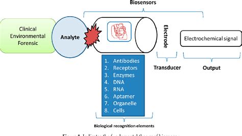Figure 1 From Development Of Nanosensors Based Intelligent Packaging Systems Food Quality And