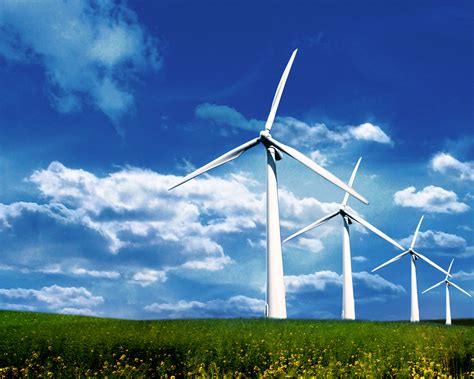 Estimating The Extent Of Fatal Bird Collisions With Wind Turbines