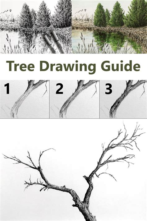 How To Draw ANY Tree Landscape Drawings Tree Drawing Realistic