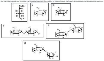 Answered Aprovide The Name For The D Monosaccharide 1” In The Above