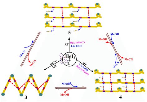 Scheme Showing The Reversible Structural Transformation In 3 5 Download Scientific Diagram