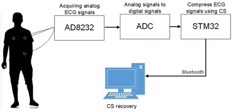 Block Diagram Of A Wearable Ecg Telemonitoring System Download Scientific Diagram
