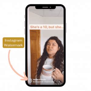 The Easiest Way To Save Instagram Reels And Tiktoks Without A Watermark