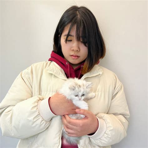 네코스토리 서울 본점 강아지 고양이 유기묘 유기견 길 고양이 아깽이 댕냥이 무료 분양 입양 보호 위탁 허위 X 무료 입양하는 아이들입니다 책임 비용 및 추가 비용 일절