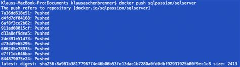Running A Custom Sql Server Docker Image In Amazon Aws Sqlservercentral