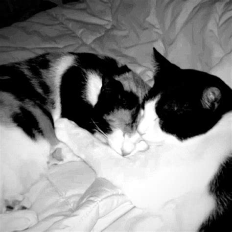 Stream Zeroo Music Listen To Songs Albums Playlists For Free On Soundcloud