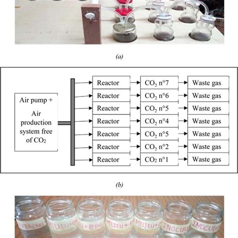 Biodegradation Test Based On Oecd 301b Guidelines Experimental Setup
