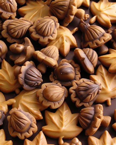 Acorn Candy Cookies Recipe Glimpse