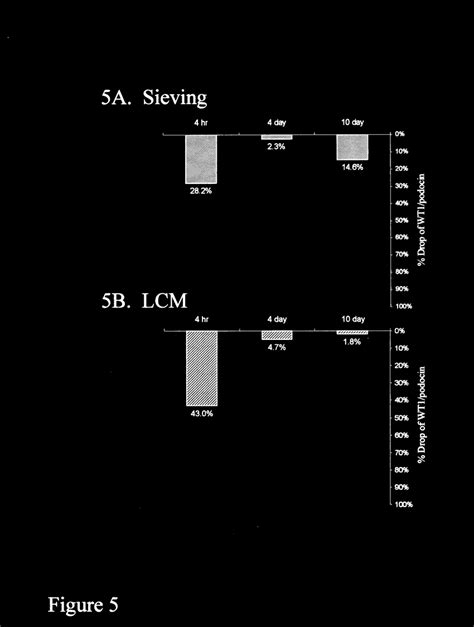 Percent Decrement In Wt 1 Levels In Isolated Versus Captured Glomeruli Download Scientific