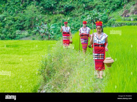 Women From Ifugao Minority Near A Rice Terraces In Banaue The