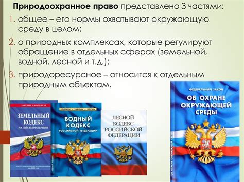 Основные положения законодательства об охране окружающей среды презентация онлайн