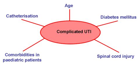 The Pathogenesis Of Urinary Tract Infections Intechopen
