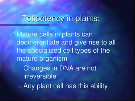 Lecture 9 Date Chapter 21~ The Genetic Basis Of Development