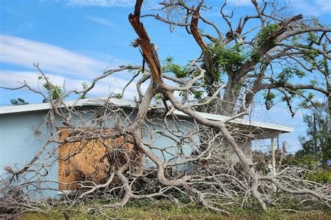 Premium Photo Tree Removal After Hurricane Damage In Florida Home Backyard Fallen Down Debris
