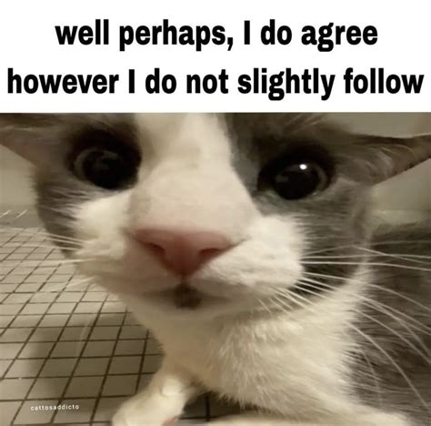 Silly Cat에 있는 핀