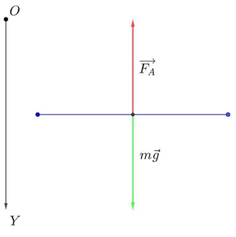 Прямолінійний провідник масою 2кг і силою струму 4А помістили в однорідне магнітне поле з