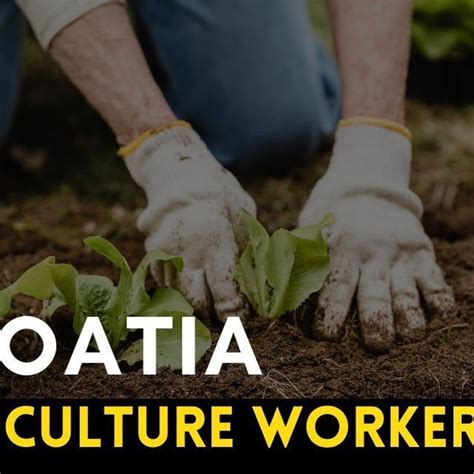 Navpreet Singh On Linkedin Sky Services Private Limited On Instagram 🌱 ਆਪਣੇ ਭਵਿੱਖ ਦੇ ਬੀਜ ਬੀਜਣ ਲਈ